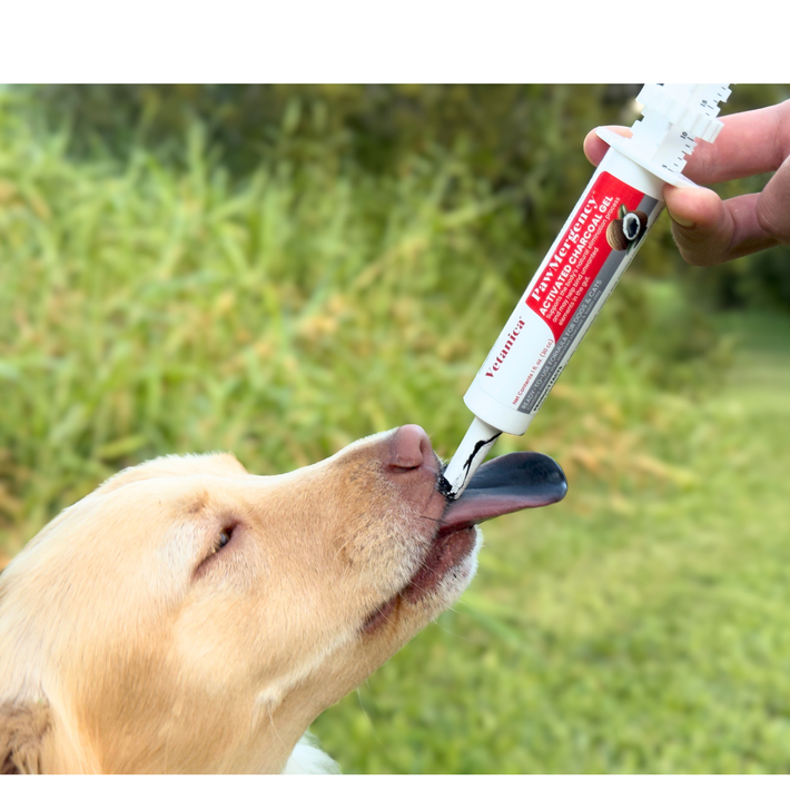 PawMergency® - Activated Charcoal & Kaolin Clay Paste for Pet Poisons ...